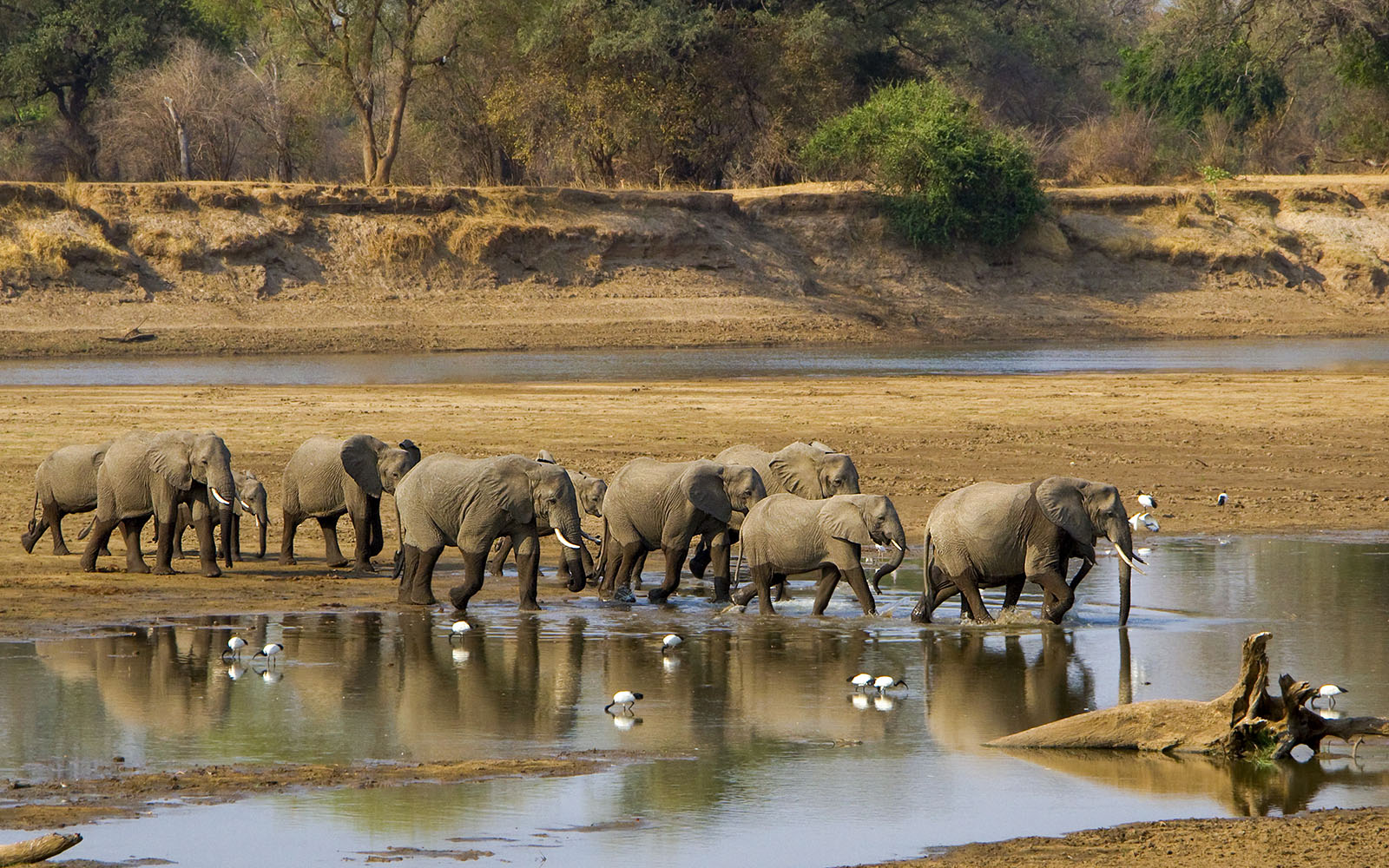 Zambia Safari Trip – Al Safar